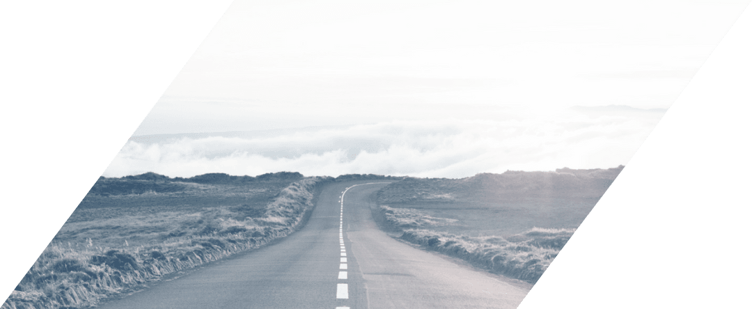 Collaborative Equity Investors — The Cynosure Group